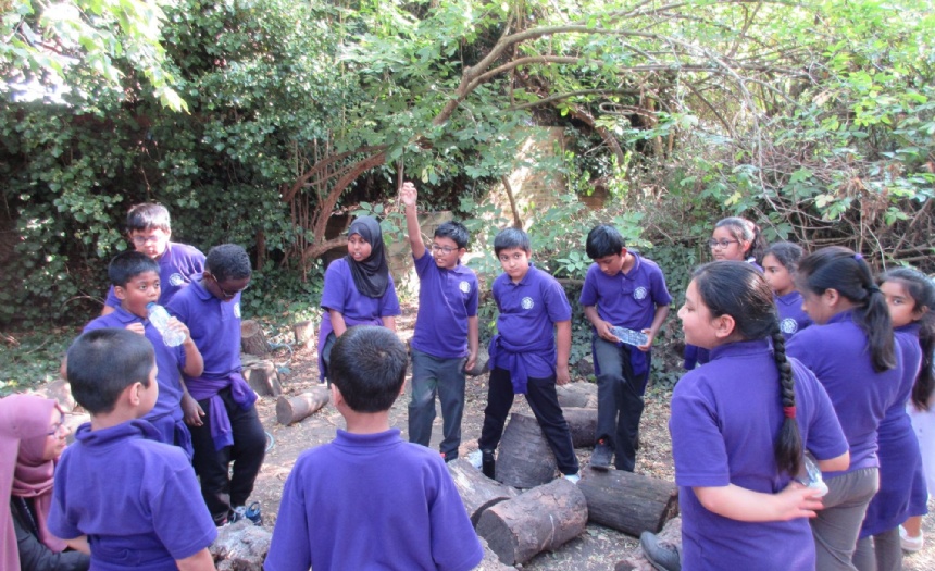 Oak in the Woods - Stepney Park Primary School
