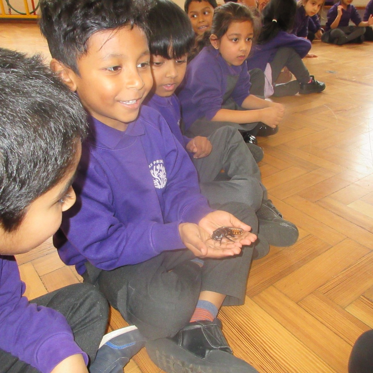 Trying New Things at School - Stepney Park Primary School
