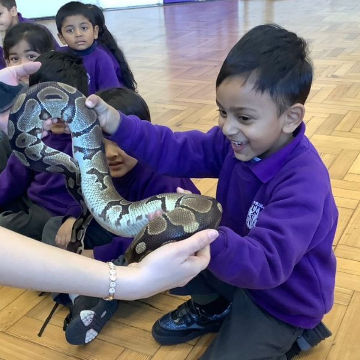 Exploring at Stepney Park - Stepney Park Primary School