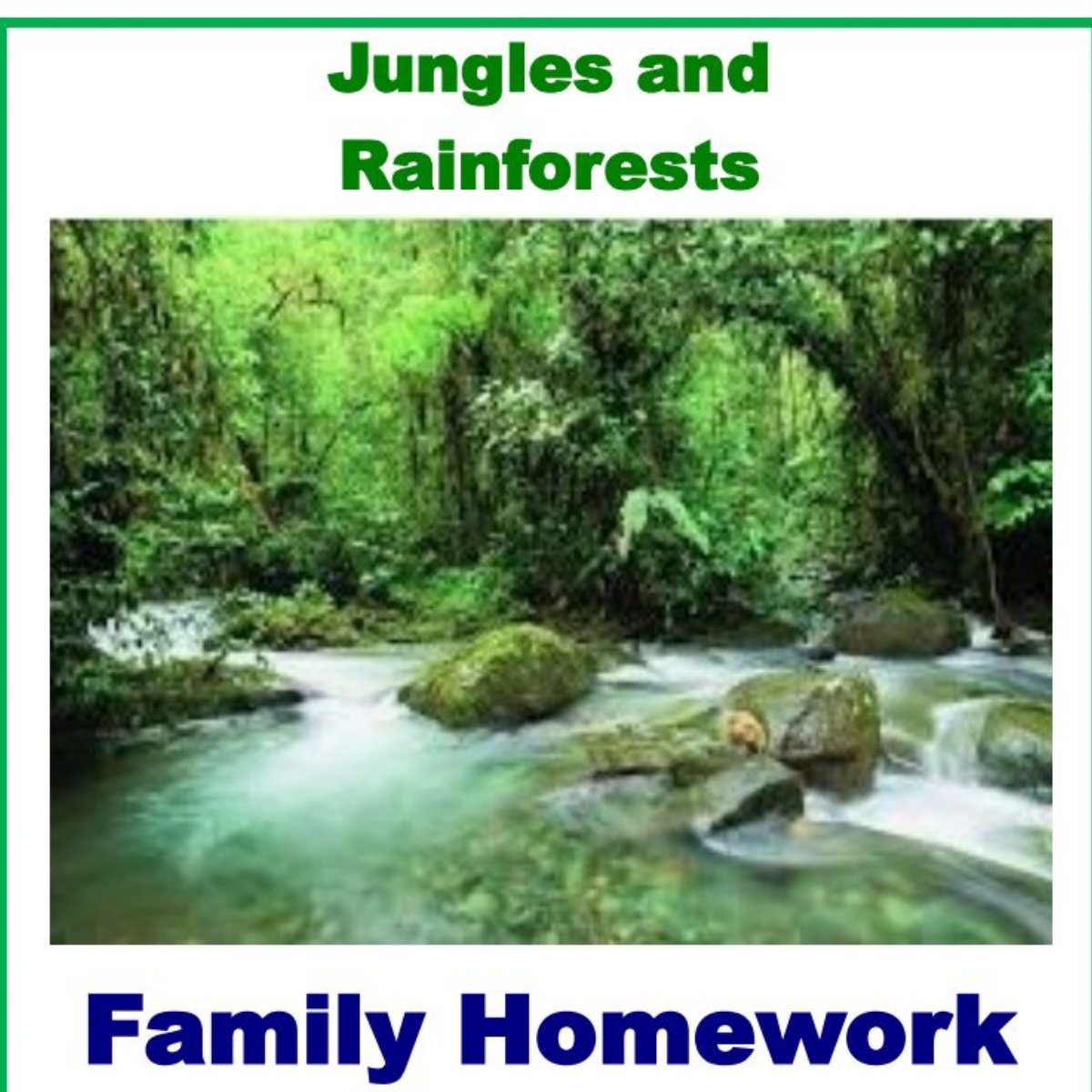 Family Homework - Jungles and Rainforests - Stepney Park Primary School