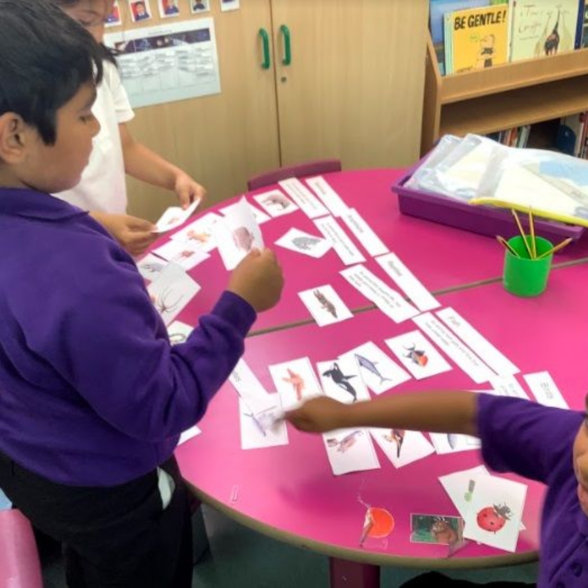 2 Willow Get Categorising! - Stepney Park Primary School