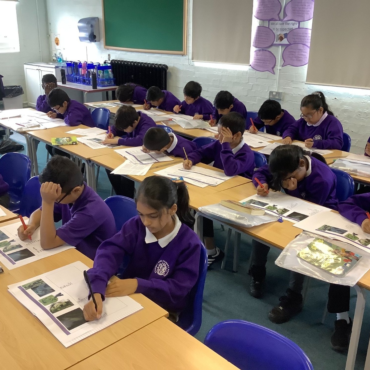 The Promise - Stepney Park Primary School